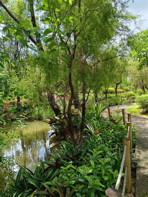 Small Garden With Pond Beautiful Landscape Design Stock Image Image Of Beautiful Stone 286396011