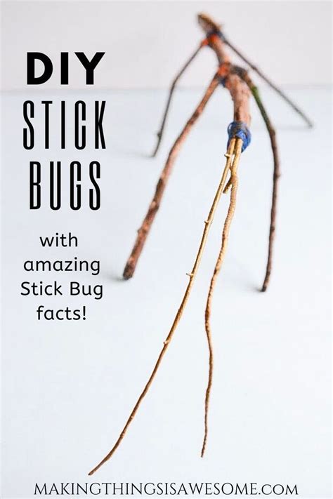 Diy Stick Bugs Making Things Is Awesome Stick Bug Bug Crafts Insects Preschool