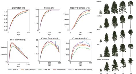 Left Tropical Tree Fsp Model Variable Output For Different Download Scientific Diagram