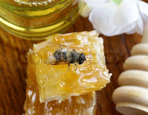 Honey Bee On A Honeycomb Stock Image Colourbox