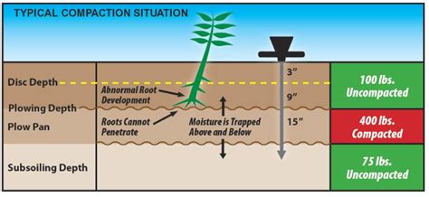 Best Soil Compaction Tester In Maximize Crop Yield