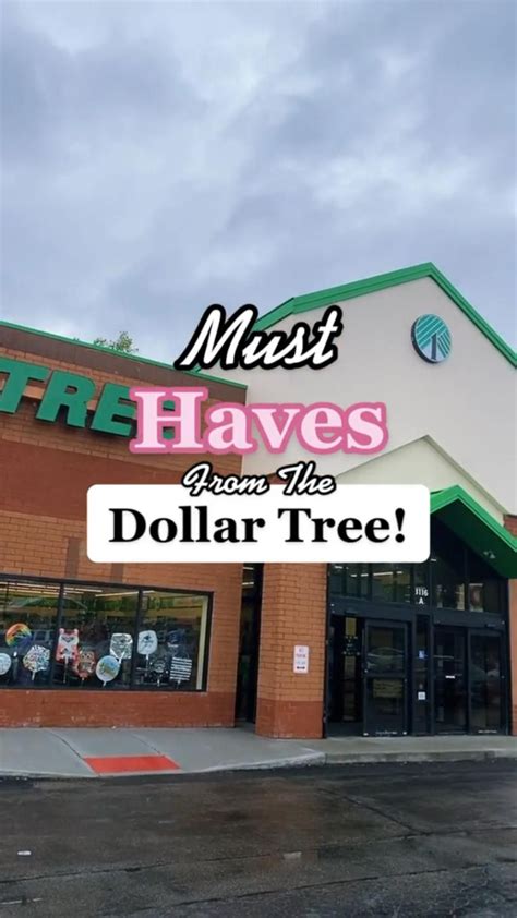 Aesthetic Back To School Supplies From Dollar Tree Back To School