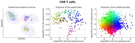 Multi Resolution Deconvolution Of Spatial Transcriptomics — Scvi Tools