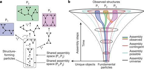 Evolution Theory Ppt Theories Of Evolution Profesocial