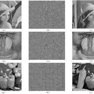 Simulation Results Of Encrypted And Decrypted Images A Lenna Download Scientific Diagram