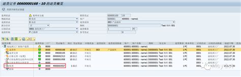 Sap 高级退货管理arm Advanced Returns Management 换货 原货物需退回 Sap高级退货 Csdn博客