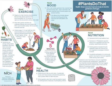 Benefits Of Plants Willoway Nurseries Inc