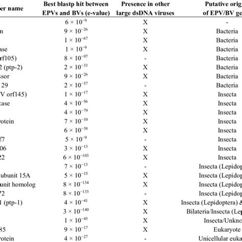 Origin Of Homologous Gene Clusters Found In Epvs And Bvs Download Table