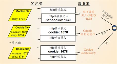 HUST CS Computer Communication and Networking 计网总结 md at main fly