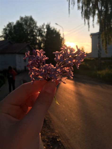 🌻🌻🌻 Уроки фотосъемки Фотосъемка