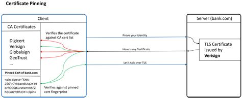 Understanding Tls Verification And Certificate Pinning