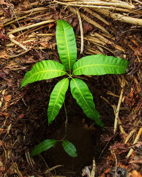 Florence Glavin On Linkedin Were Thankful For Our Corporate Partners