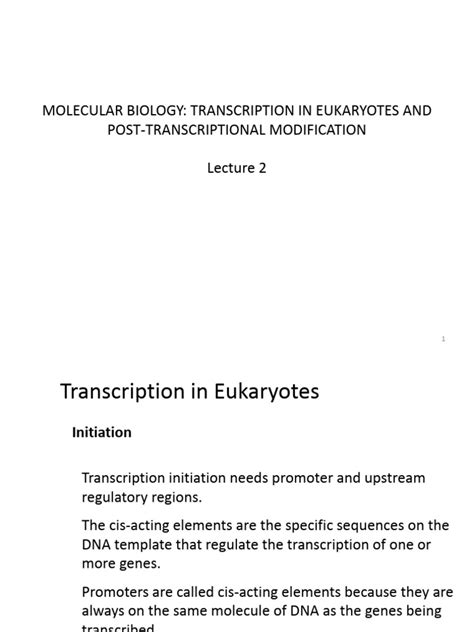 Transcription In Eukaryotes And Post Transcriptional Modification Pdf Messenger Rna Rna