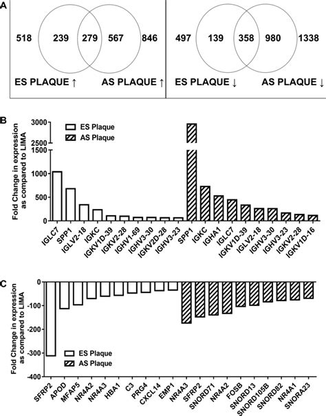 Microarray Analysis Reveals Alterations In Gene Expression Associated