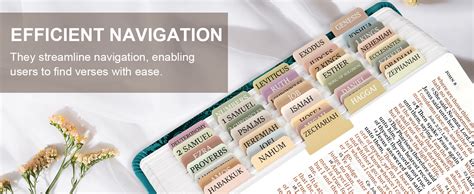 Pink Bible Tabs For Women And Men Laminated Bible Tabs For