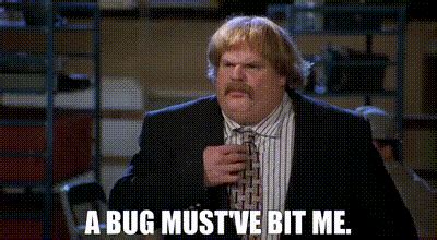 Chris Farley  Beverly Hills Ninja  Chris Farley  Beverly