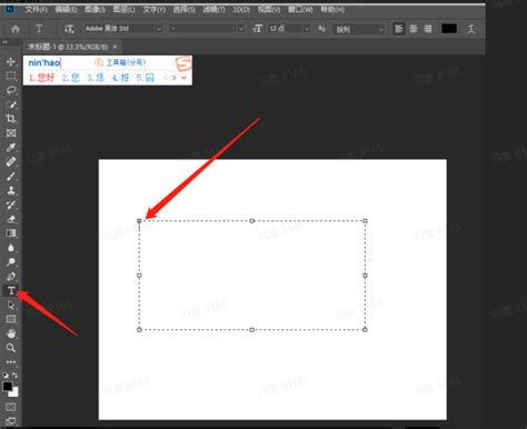 P There Is A Bug In When Using Chinese Input Meth Adobe Product
