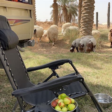 ابوسعد الغملاس Youtube