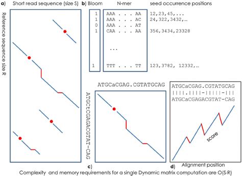 Optimal Alignment Search Optimization Schema A Dynamic Programming