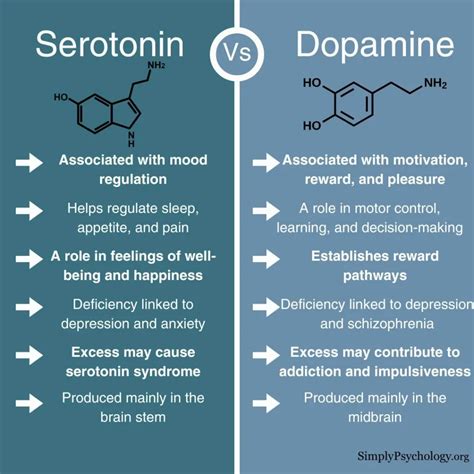 Serotonin And Dopamine The Addiction Of Social Media Snouts In The