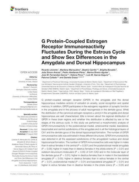 Pdf G Protein Coupled Estrogen Receptor Immunoreactivity Fluctuates