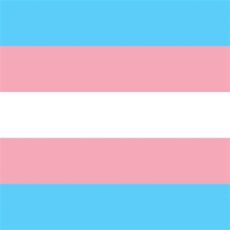 Transgender Flag Design Mousepad Deskmat Transgender Flag Design Mousepad Deskmat