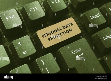 Text Showing Inspiration Personal Data Protection Business Concept
