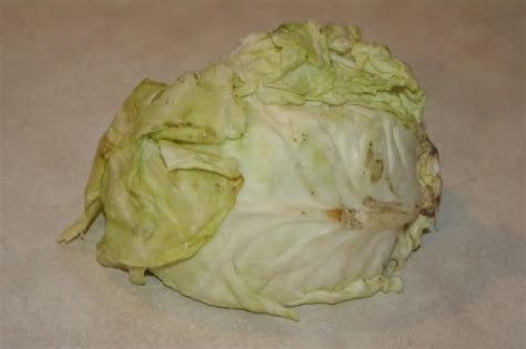 注意！史上最毒的蔬菜，看見了千萬別吃！！速轉家人朋友！！！