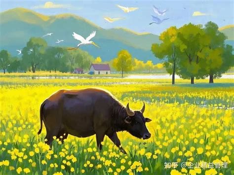 企业流程优化的方法有哪些？ 知乎