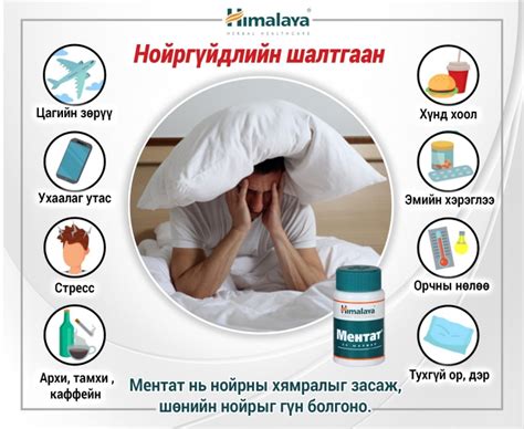 Нойрны 5 ашиг тус “ЦАХИУР ТӨМӨР” ХХК