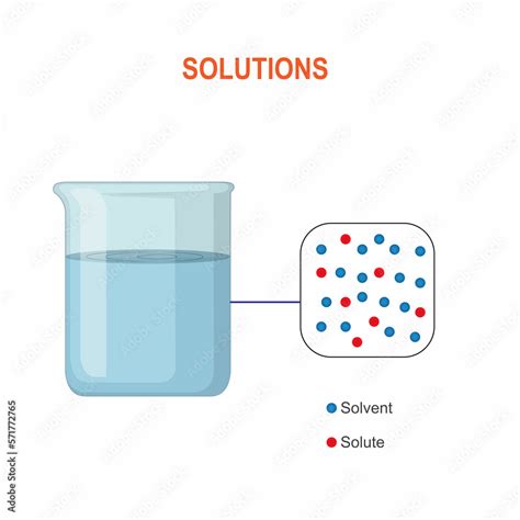 Solutions Beaker Or Container With Solute In A Solvent Dissolving Solid Particles Or Ions In A