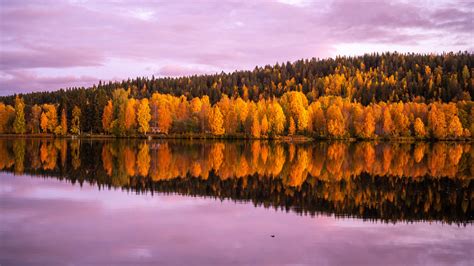 Wallpaper Autumn 4k Hd Wallpaper 8k Trees Dawn Mount Coloring
