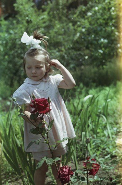 Фото Девочка с розой 1965 1970 История России в фотографиях