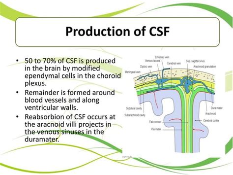Csf Flow Study Pptx