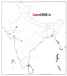 CBSE Sample Papers For Class Social Science Set With Solutions Learn CBSE