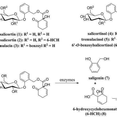 Results From The Decomposition Experiments Of Salicortinoids In Pbs At