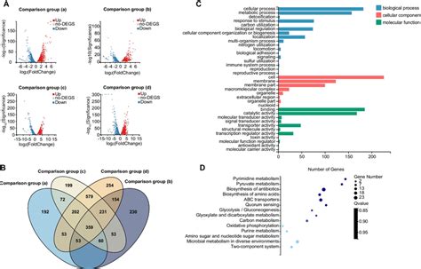 Transcriptome Data Analysis A Scatter Distribution Of Differential