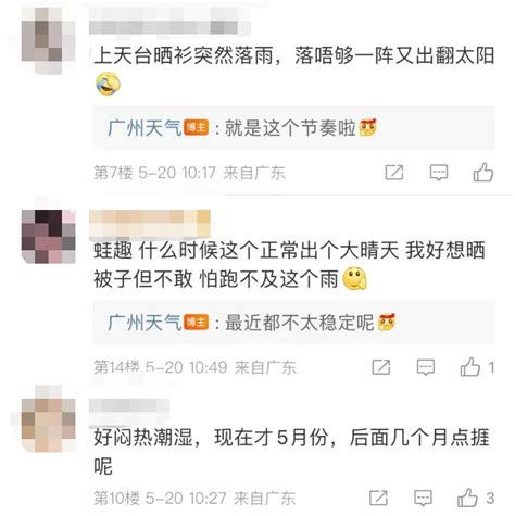广州5月全城飞雪原来是它这类人特别注意 澎湃号媒体 澎湃新闻 The Paper
