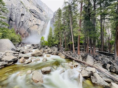 Spring View Of Yosemite Falls As Seen From The Yosemite Valley Floor