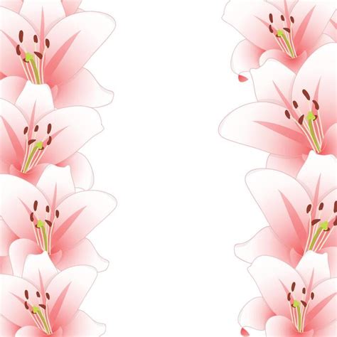 Lily Border Vector Art Icons And Graphics For Free Download