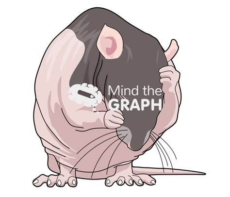 Free Rat Nude 4 Icons Symbols Pictures And Images Mind The Graph
