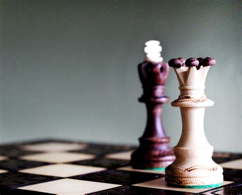 Python Vs R — Battle Of The Best Data Science Tools By Springboard India Medium