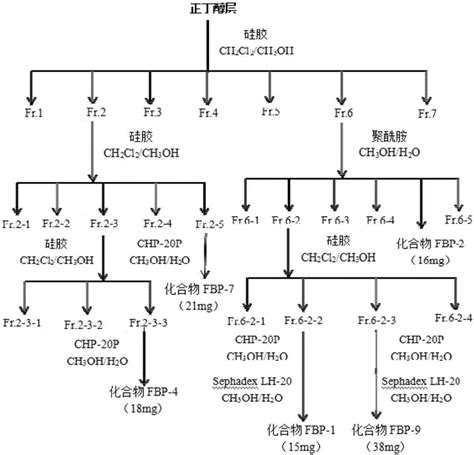 一种荞麦蜂花粉提取物、提取分离方法及其应用与流程2