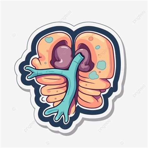 신장 스티커의 해부학 만화 벡터 일러스트 레이 션 고립 된 호흡 곤란 만화와 스티커 디자인 상표 Png 일러스트 및 벡터 에 대한 무료 다운로드 Pngtree