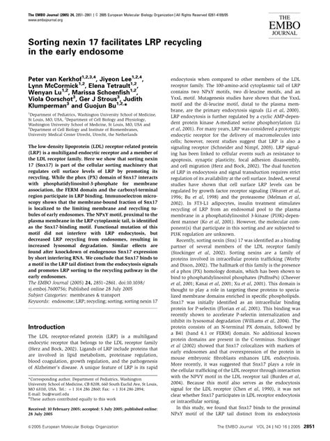 Pdf Sorting Nexin 17 Facilitates Lrp Recycling In The Early Endosome