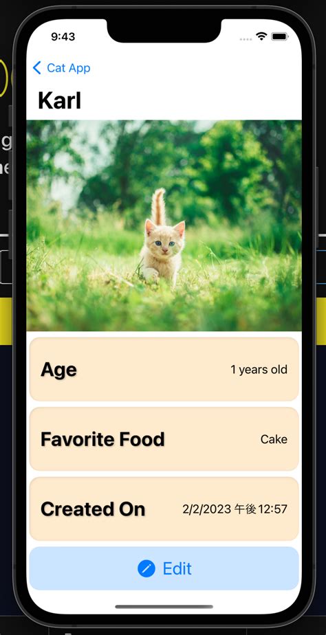 Swift Ui Simple Core Data App Tutorial Part 2 By Liyicky Feb