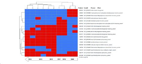 Binary Heatmap Of The Subset Of Snp Data Present Only In Isolates Of