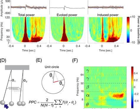 Functional Connectivity Related To An Auditory Stimulus Determined From Download Scientific