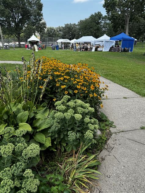 Art Is The Lenses By Which Different Perspectives Are Brought Together