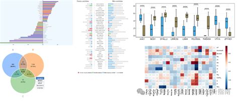 ggplot2进阶绘制环状热图新风尚 腾讯云开发者社区 腾讯云